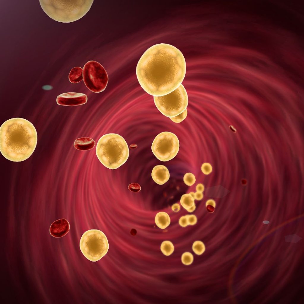 Blood Testing Services | Fitness | LiveWell Health